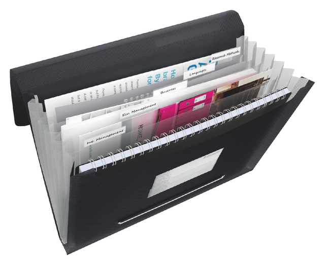 Projectmap Esselte Vivida A4 6 vakken PP zwart | Q531176